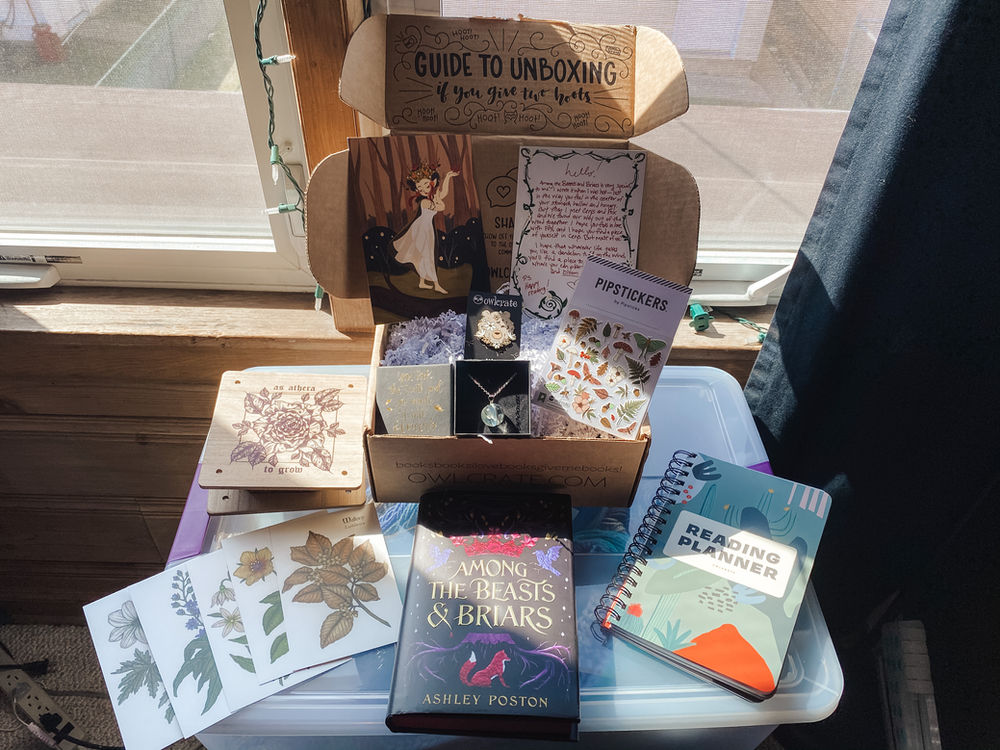 Book Crate Review - Owl Crate