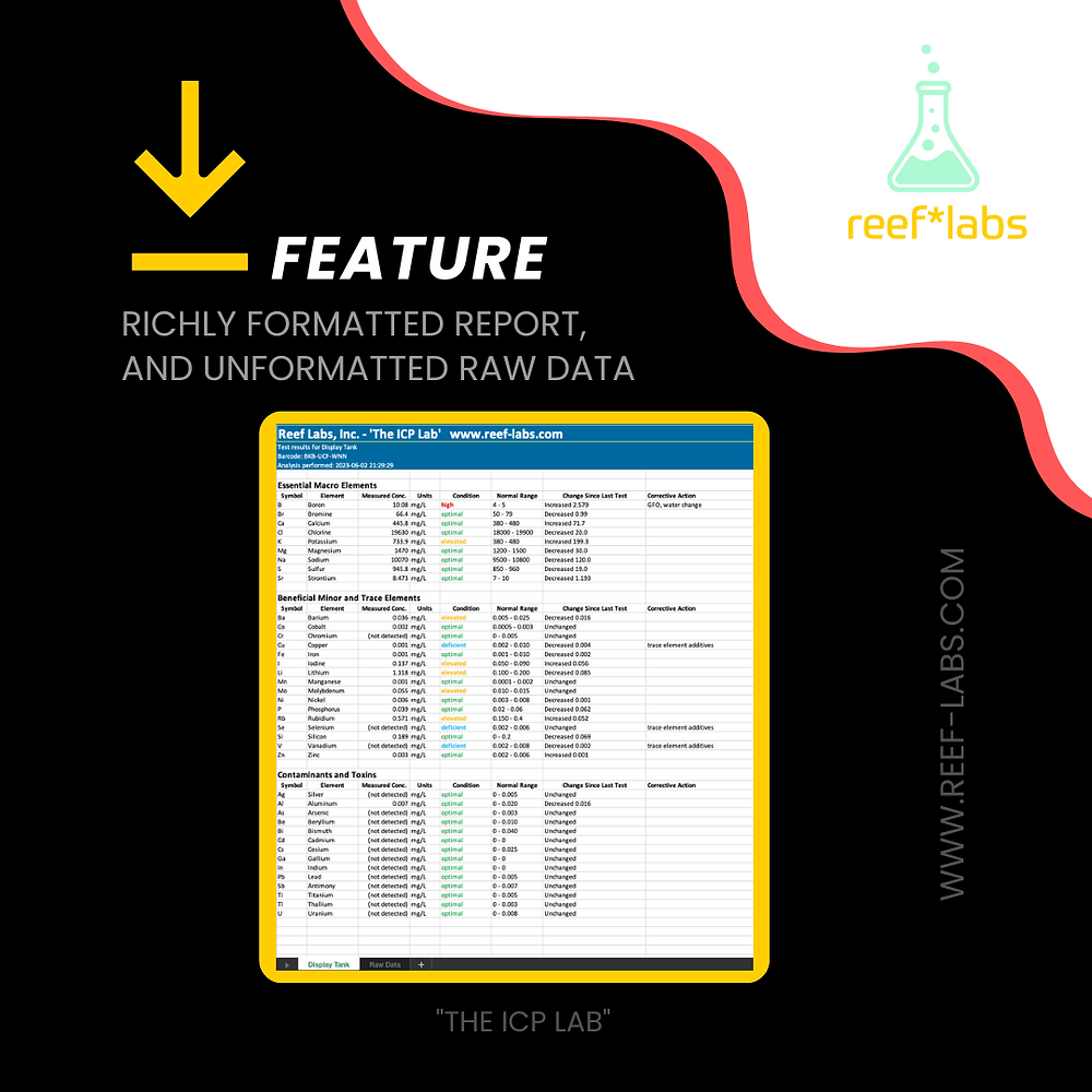 Download Feature: richly formatted report, and unformatted raw data