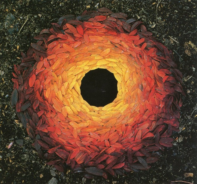 andy goldsworthy face