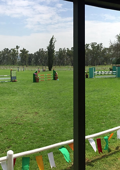 Venue | Southern Riding