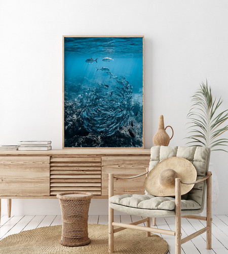 School of Fish Photography Print: 'Fish Tornado' from ERIOCEAN