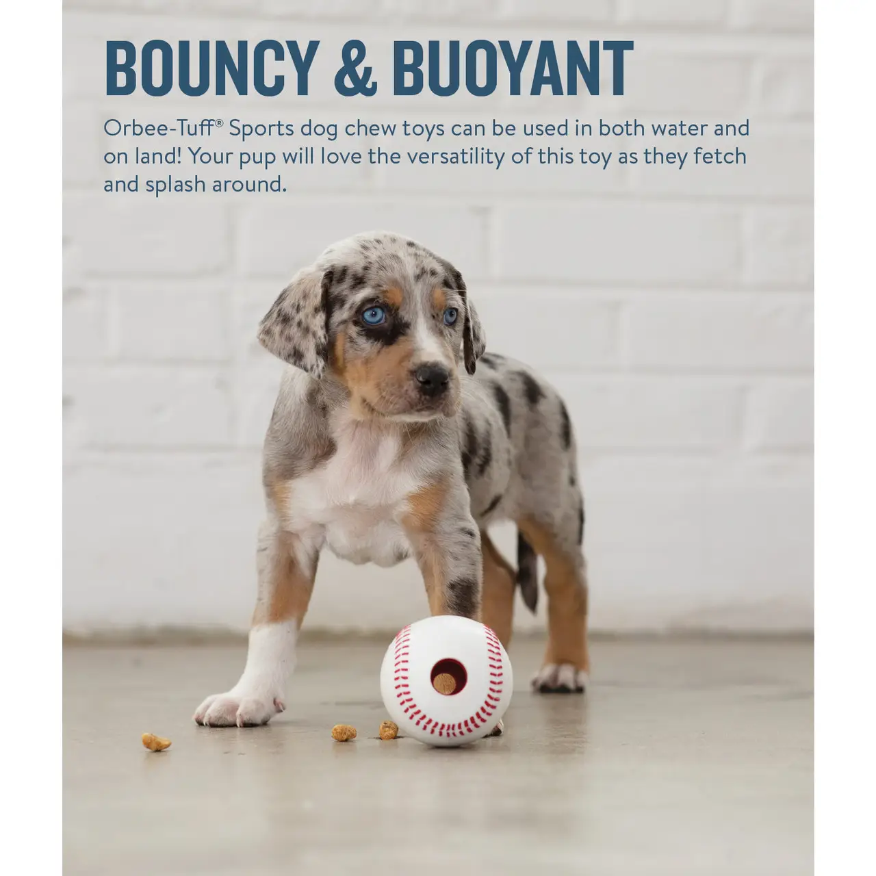 Baseball Treat Dispenser | Fenway Bark