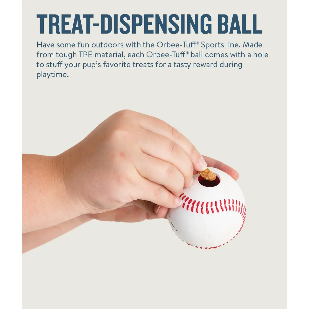 Baseball Treat Dispenser | Fenway Bark