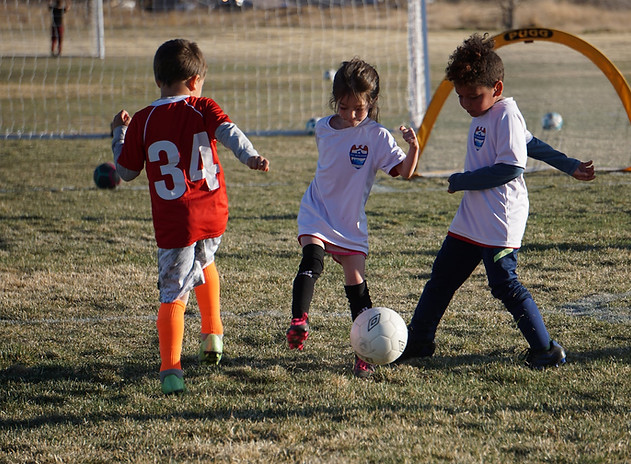 Recreational Soccer | FC Brighton