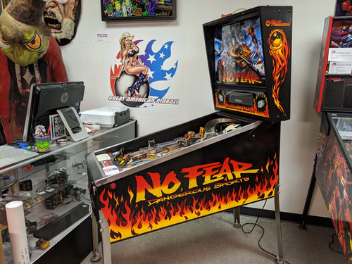 No Fear Pinball machine | Williams | website