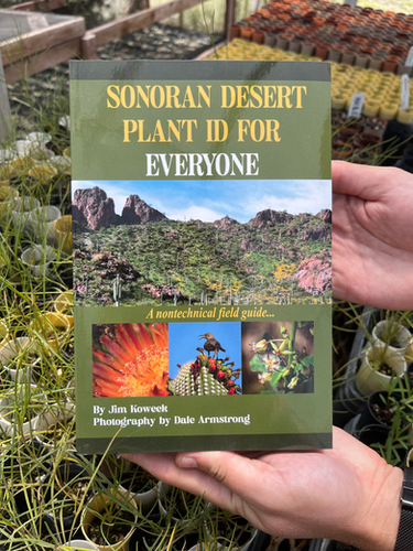 Sonoran Desert Plant Identification For Everyone, book | Borderlands Plants