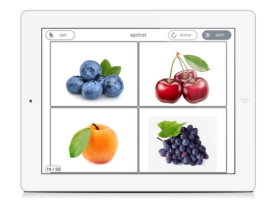 Best Aphasia Apps | Comprehension Toolbox | Aphasia Speech Therapy