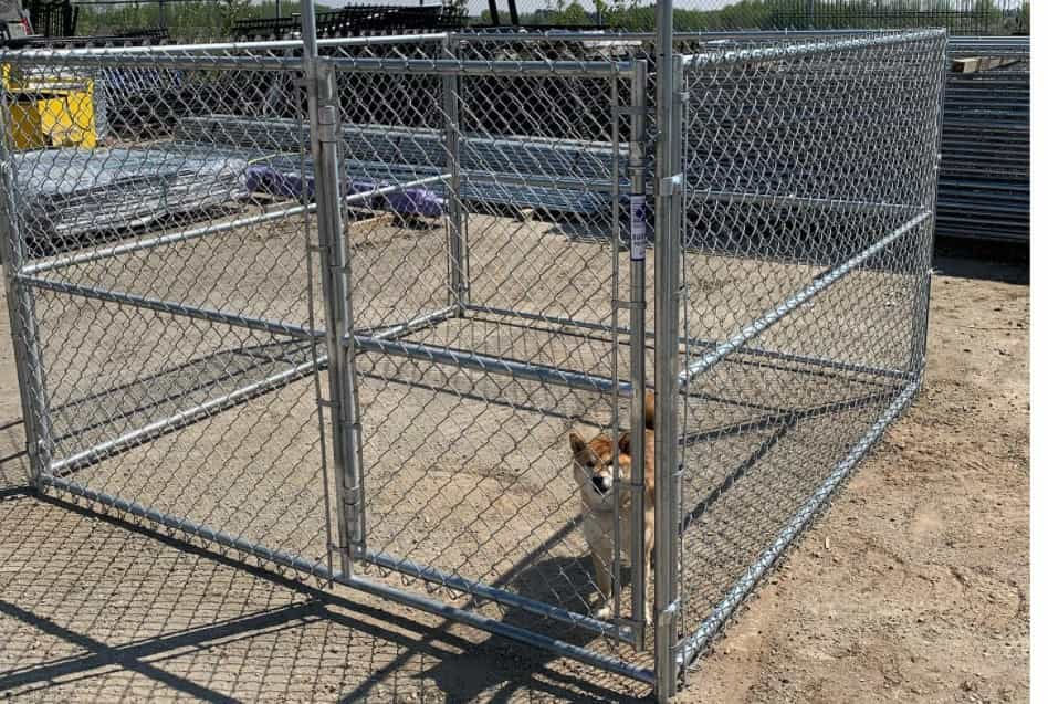 Benefits of Installing a Dog Run in Your Backyard