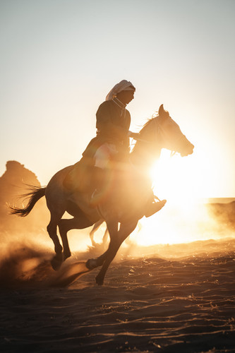 Le cavalier arabe - Arabie Saoudite | jcpierivisual