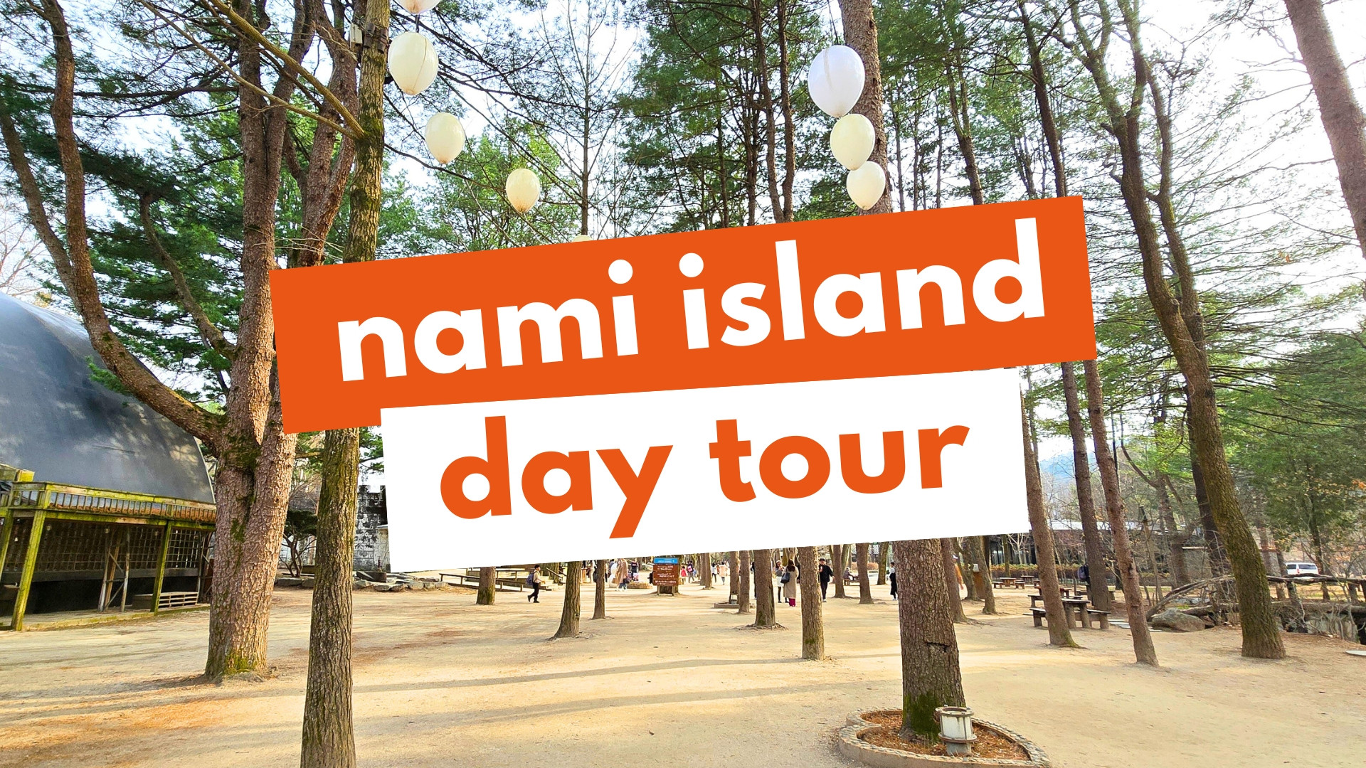 Nami Island Day Tour | funtripkorea
