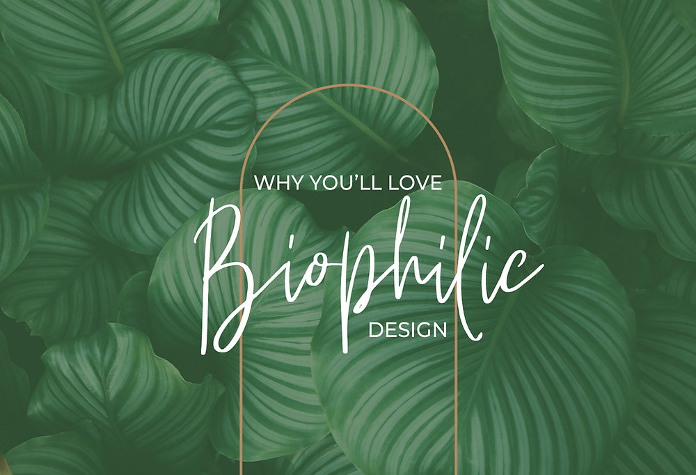 Bring Nature Home: 3 Easy Biophilic Design Tips
