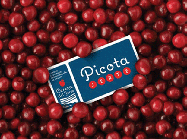 Building A Better Picota: Spanish Growers Invest In The Cherry Of Tomorrow