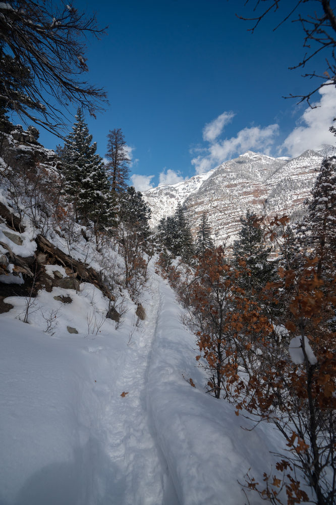 Winter Activities in Ouray, Colorado aka "The Switzerland of America"
