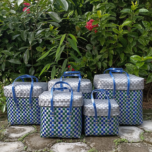 Plastic Basket with lid - Nesting set of 5 | mrmrmcf