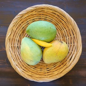 Caribbean Collection- Edward mango tree | twistedtrunk
