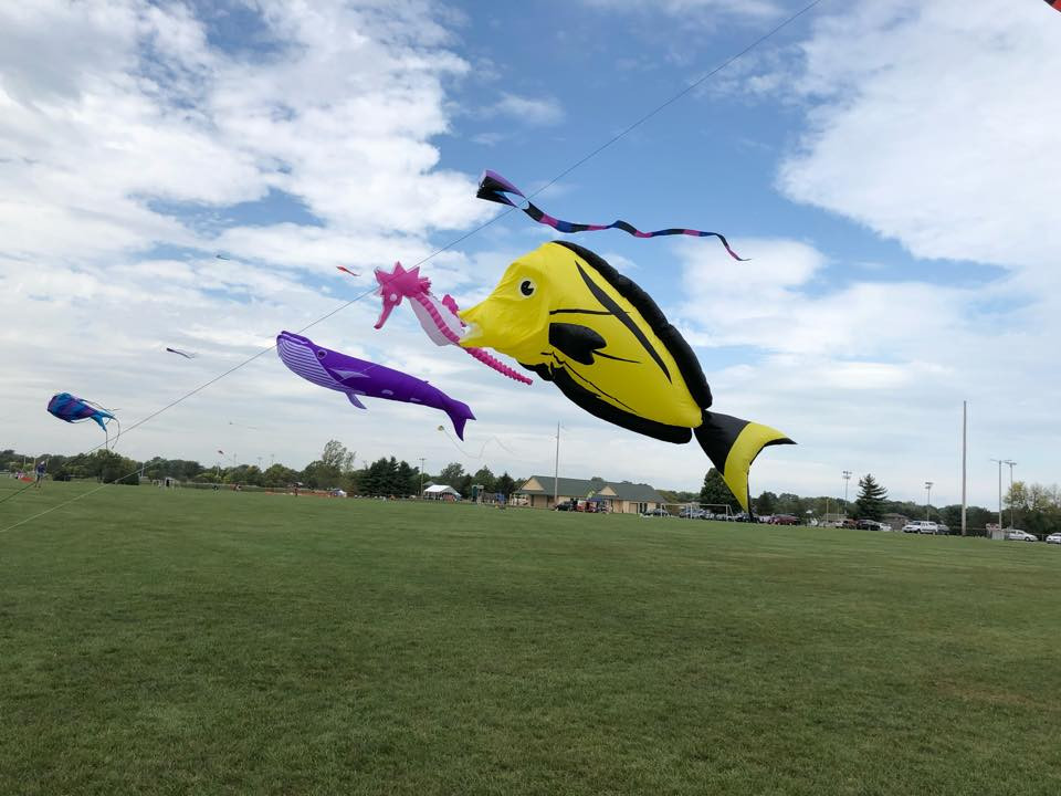 Single Line Kites | Chicago Kite