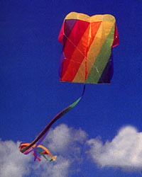 Parafoils 5chicagokite | Chicagokite.comchicagokite.com