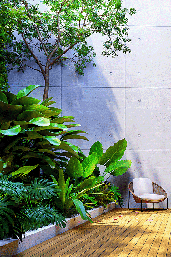 landscape nosara | landscaping | Playa Guiones, Guanacaste Province ...