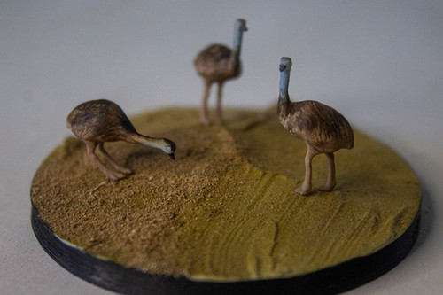 Emu (4 pack) | PPA