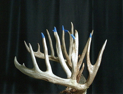 Home | Bolt & Quarrel