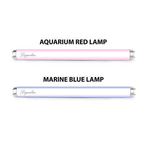 T8 neonke | anticisindoo