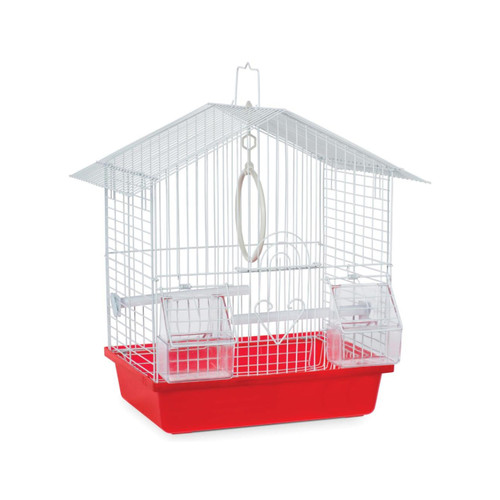 A 101 | anticisindoo