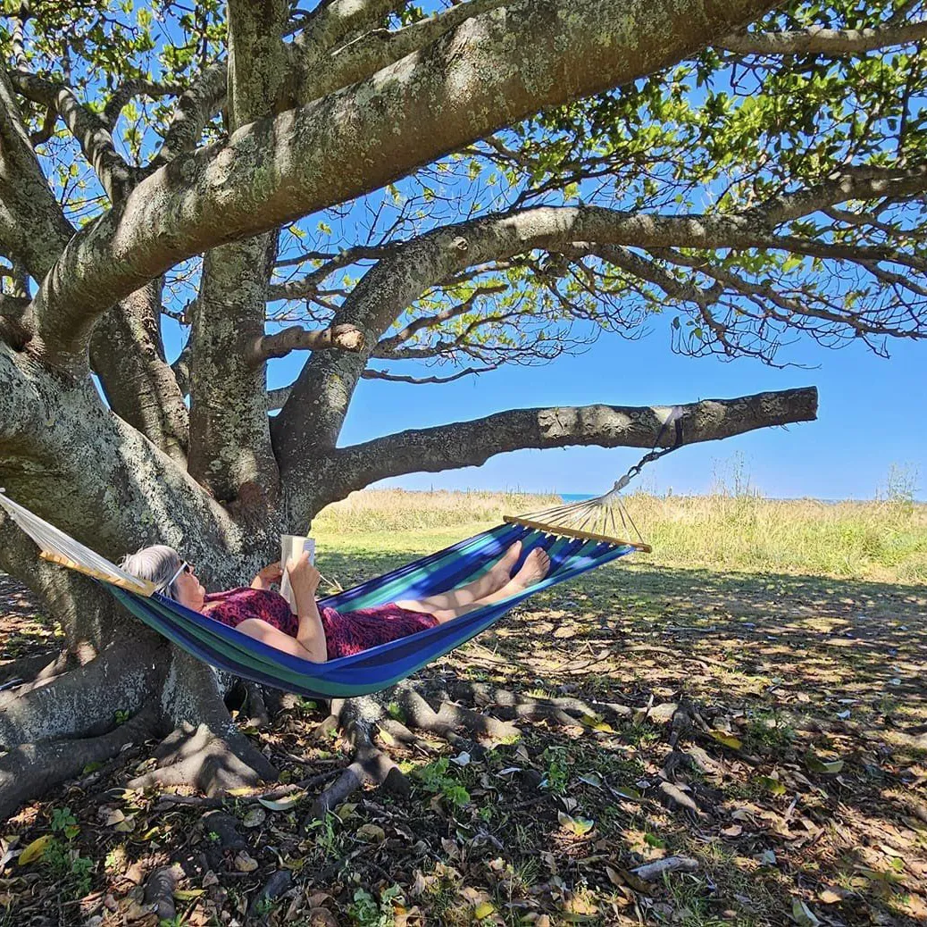 Celebrating Summer in New Zealand, 2023-24.