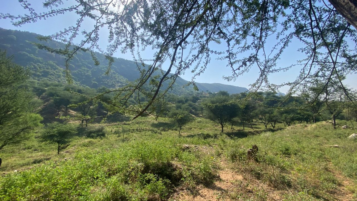 Teela | The Glamping Resort | Jaipur