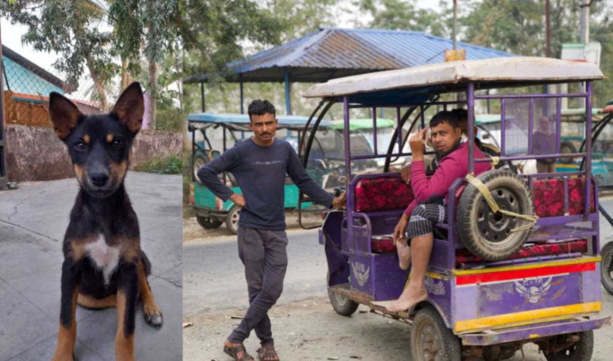 Training Gubun, my dog and the auto-drivers of Assam
