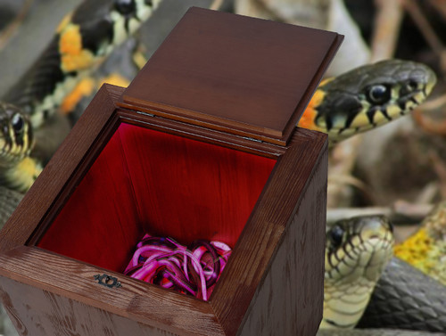 Box with snakes | ecodecor
