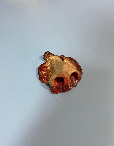 Prop "nose" | ecodecor