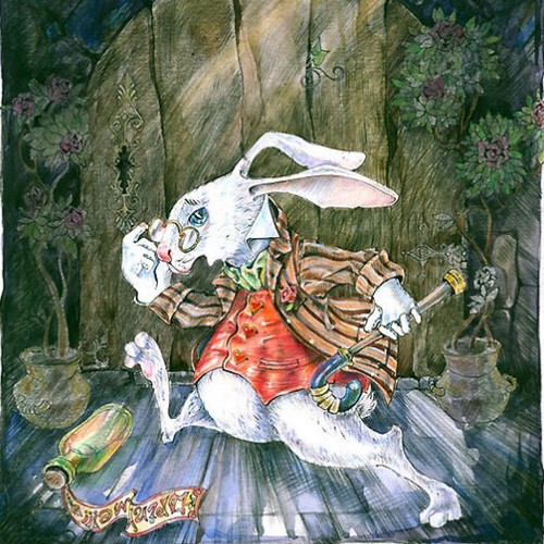 Following the White Rabbit | ecodecor