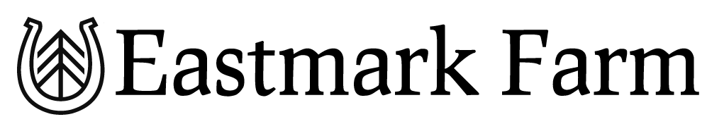 Horseback Riding Lessons | Southern Maine | Eastmark Farm