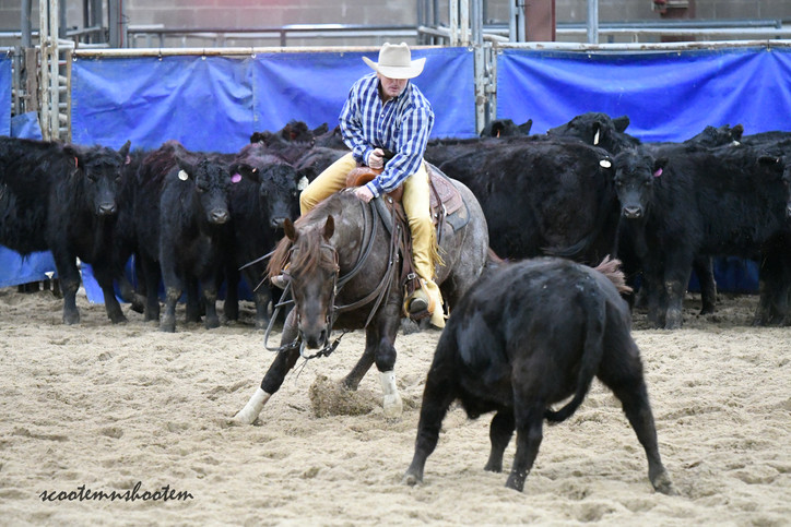 MPH SPECTACULAR CAT | LAZY K BAR RANCH