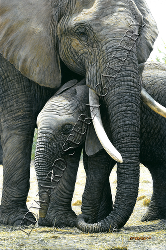 Gentle Touch - Elephant Mother & Young | Mysite