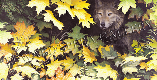 Autumn Shadows - Timberwolf | Mysite