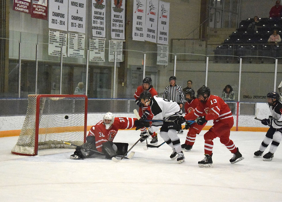 Wolves boys hockey team records first victory of the season