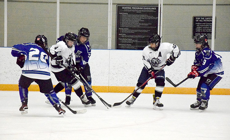 Wolves girls hockey team finishes regular season, opens playoffs Wednesday