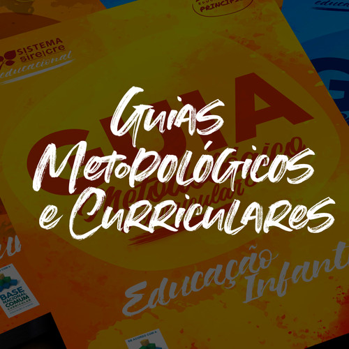 Guia Metodológico e Curricular da Educação Infantil- IMPRESSO ...
