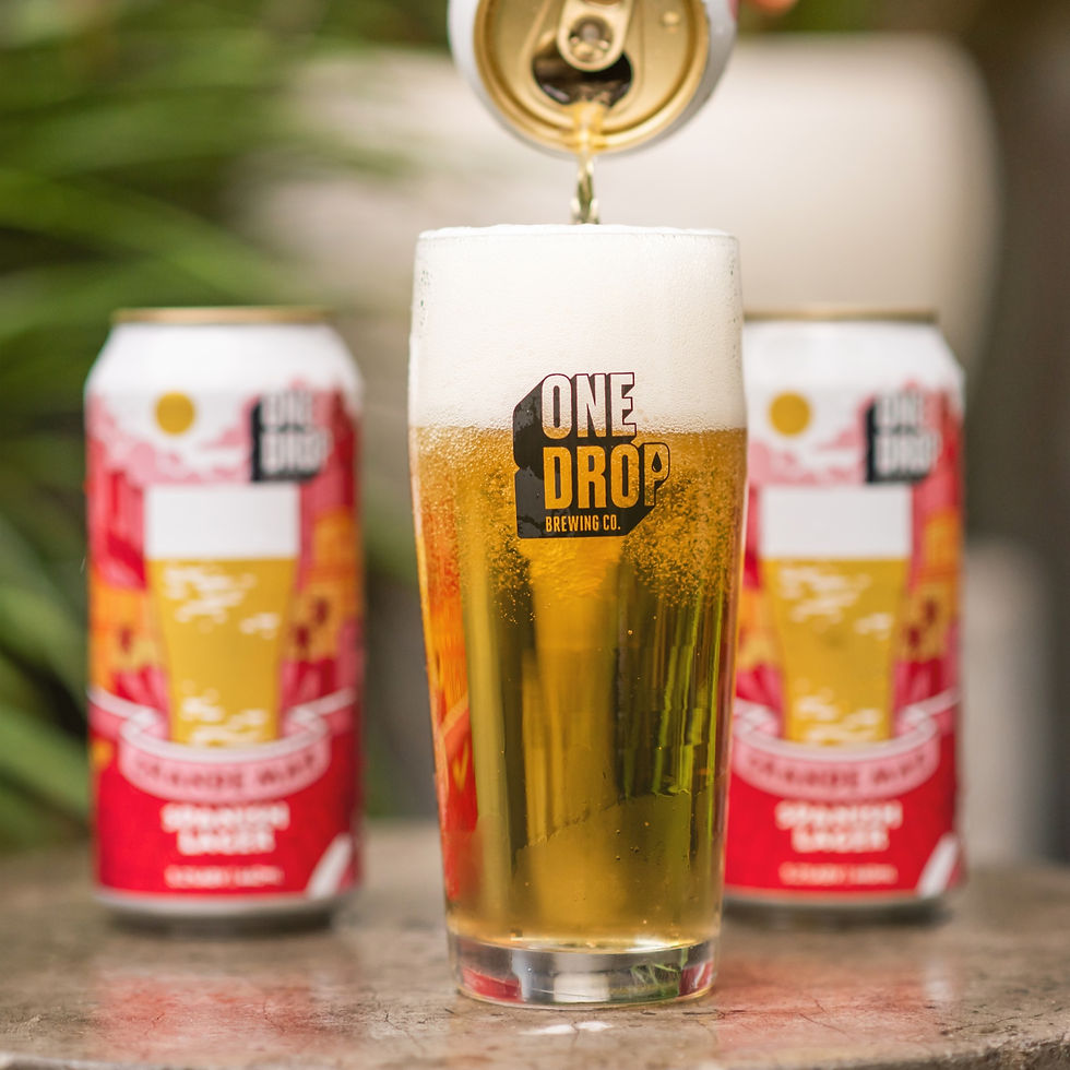 Web Shop | OneDropBrewingCo