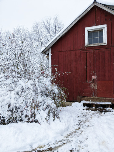 Winter Barn | Windridge Fiber Farm