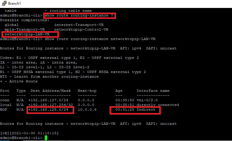 VERSA SD-WAN FLEXVNF NOTES-5