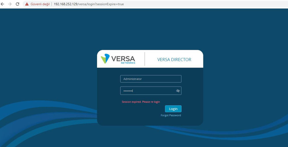 VERSA SD-WAN DIRECTOR NOTES-2