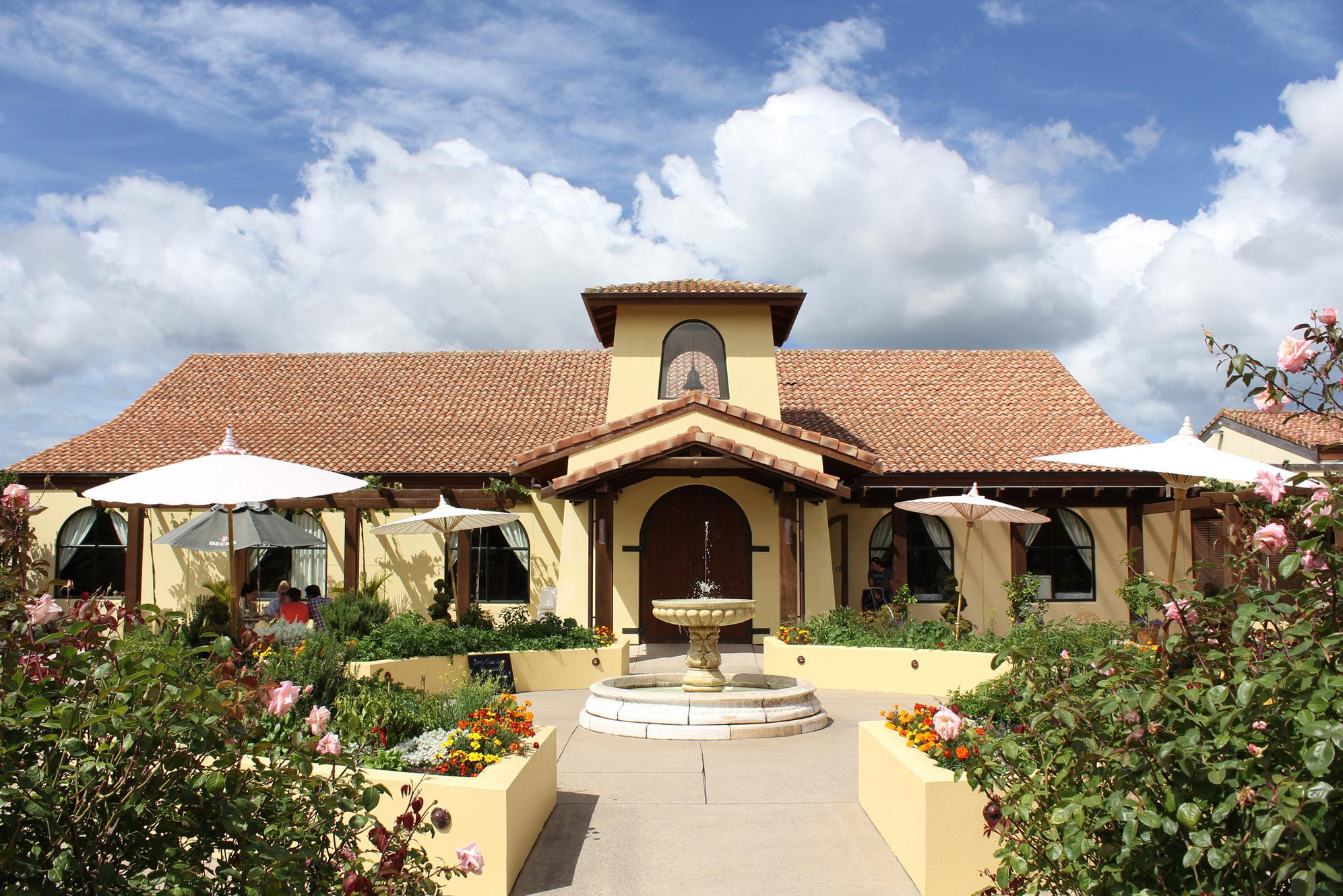 Vineyard restaurant auckland, vineyard weddings and cellar door
