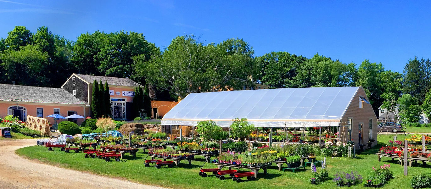 Wallingford Farm | Kennebunk, ME