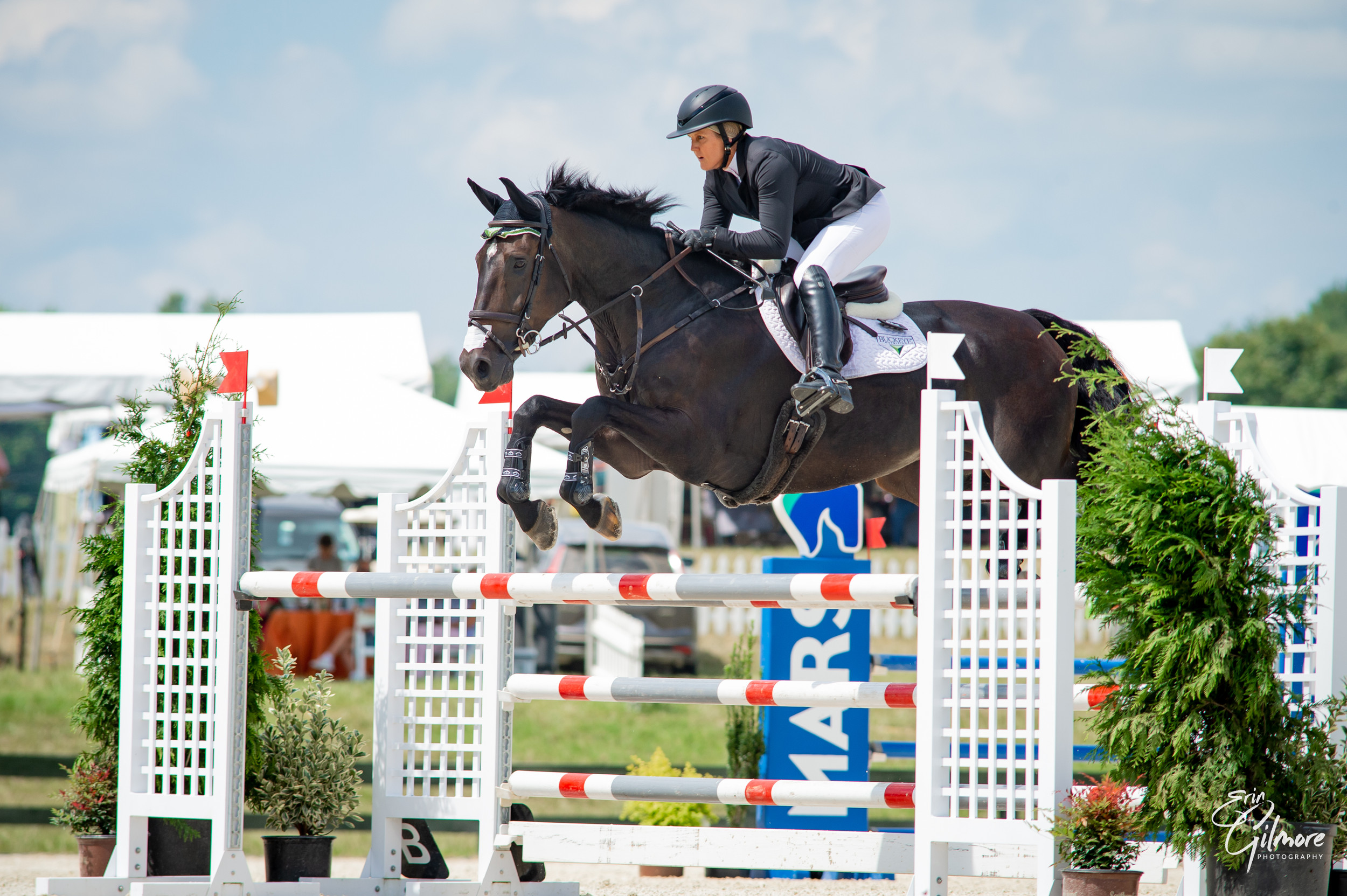 Allison | Allison Springer