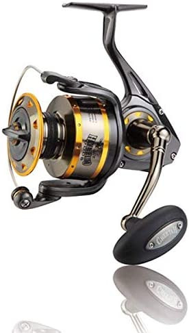 Haibo Cheetah | Ocean Fly Sports