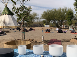 Free Spirit Coaching & Psychological Services