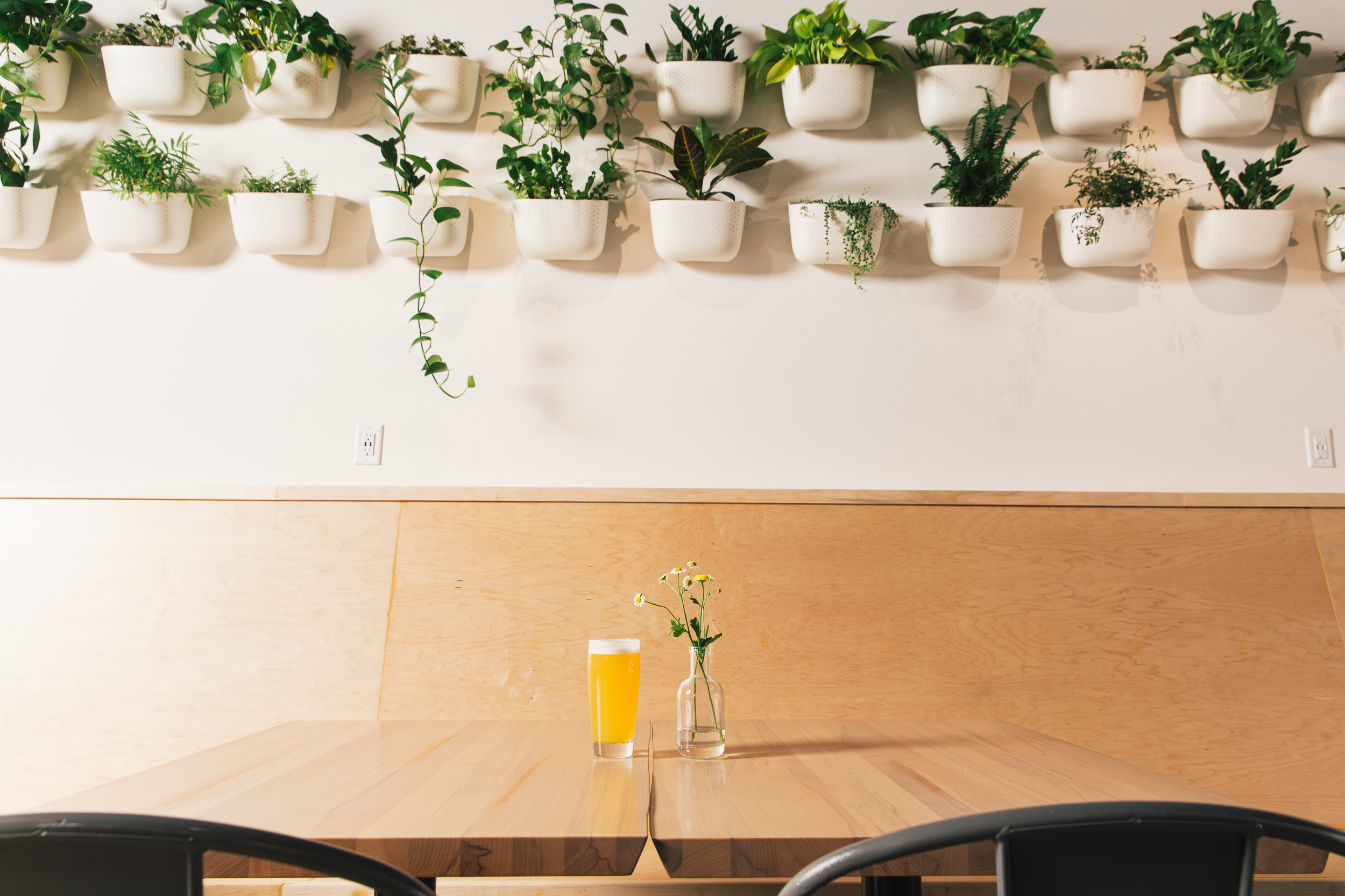 Our Core Beers | Autodidact Beer