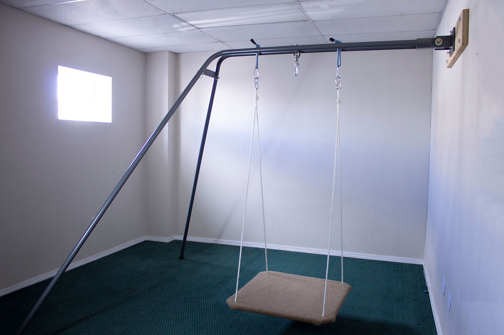 Sensory Integration Equipment | United States | Take A Swing
